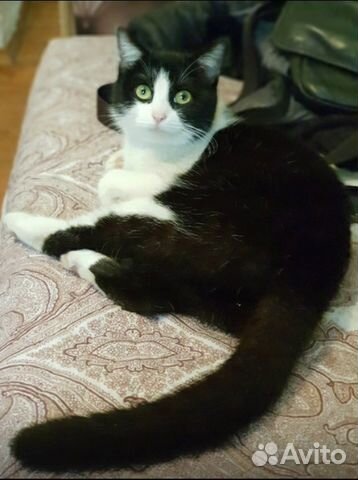 Красавица Мята добрым людям