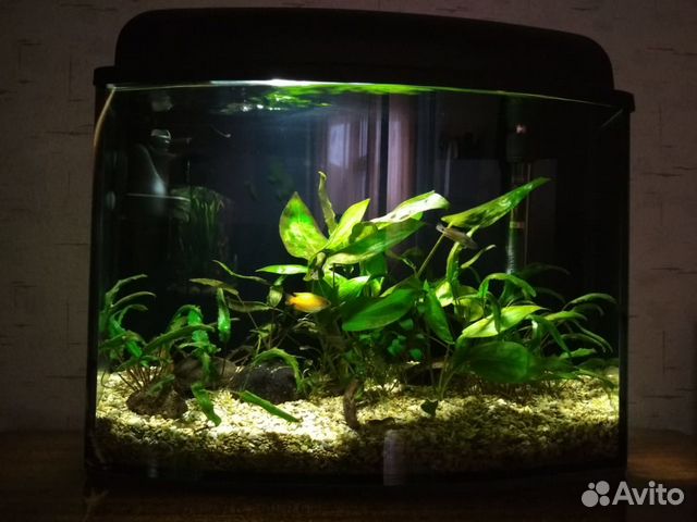 Аквариум 30 л