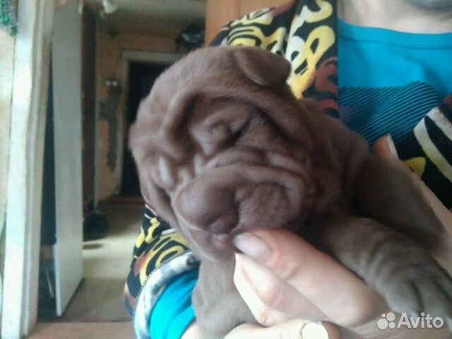 Очаровашки