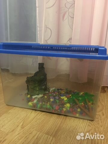 Аквариум