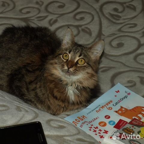 Отдам в хорошие руки