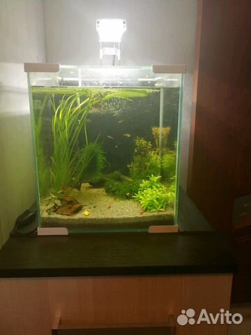 Аквариум 20 литров