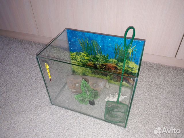 Аквариум