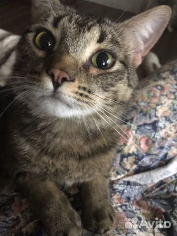 Митя ждёт свою маму