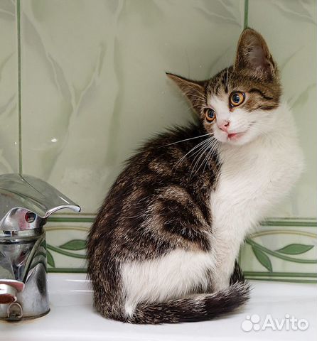 А можно Я буду вашим лучиком