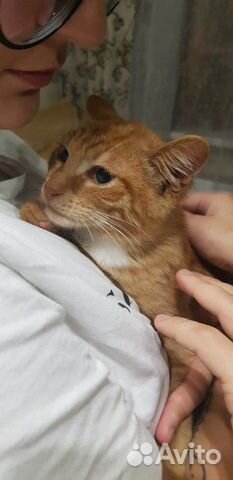 Отдаем пацана