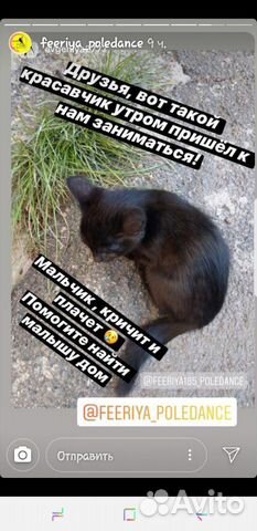 Маленькое счастье