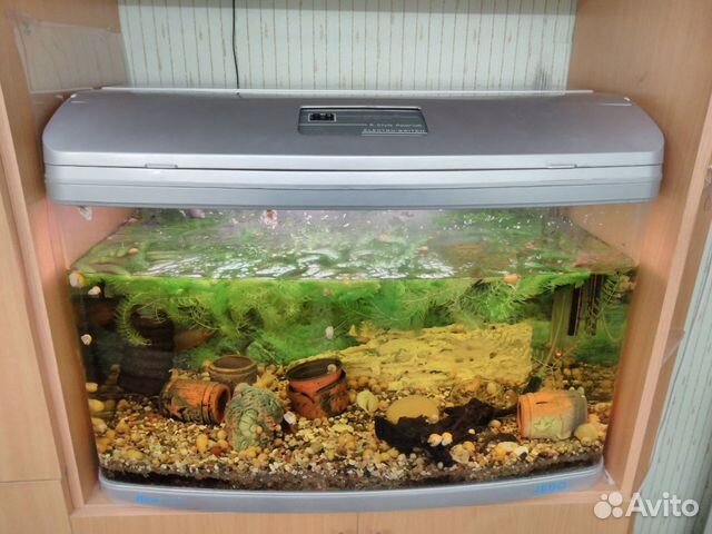 Аквариум Jebo