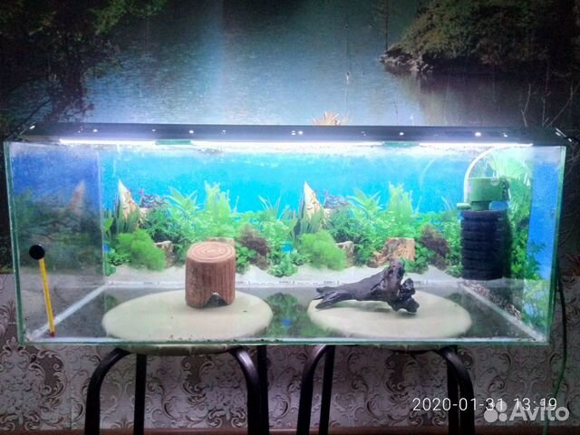 Аквариум