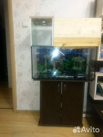 Аквариум
