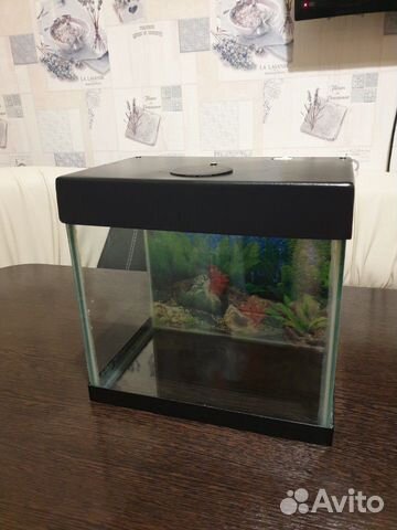 Аквариум мини (креветочник)