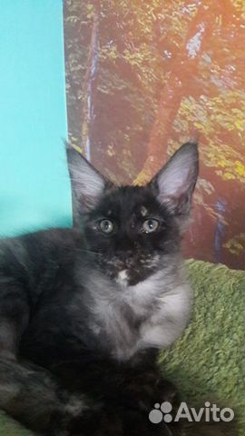 Сатана с ангельской душой