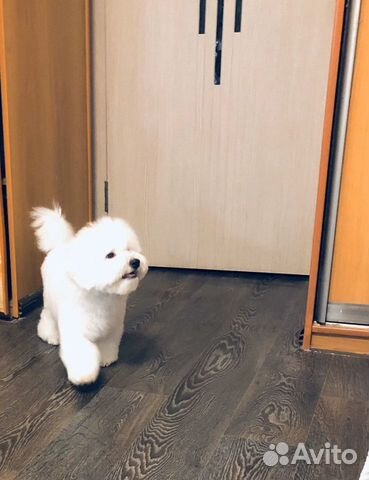 Нежное облачко