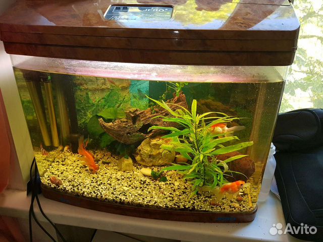 Аквариум jebo