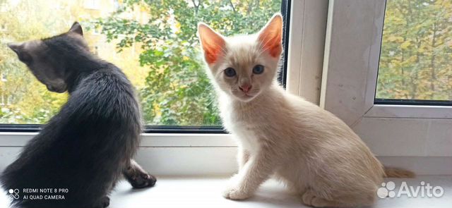 Песочный мальчик