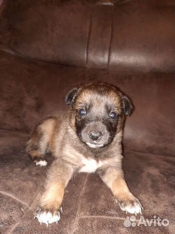 Мальчик ищет дом