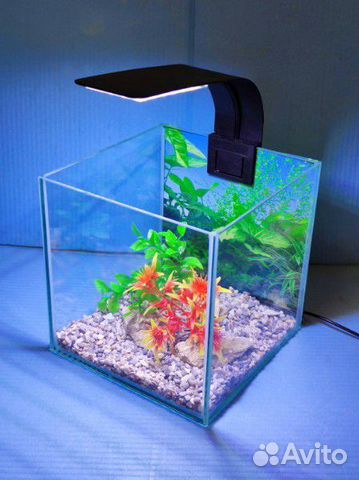 Аквариум