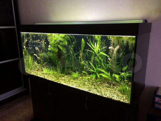 Аквариум 320л с оборудованием
