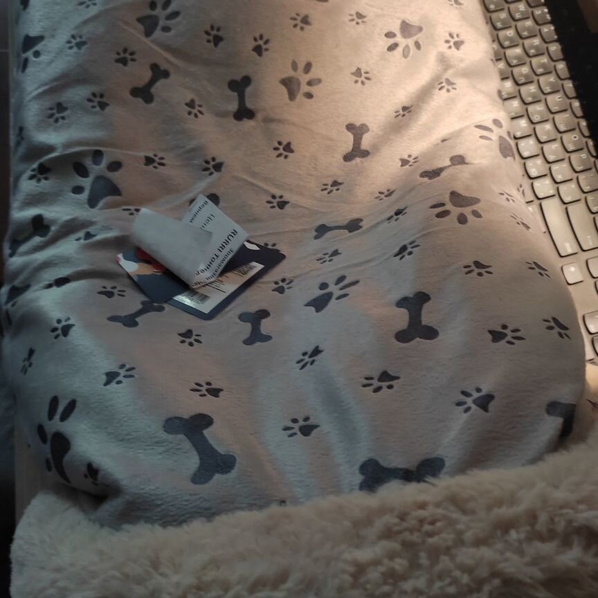 Лежак для кошек