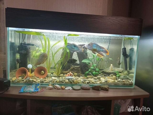 Аквариум 79 литров