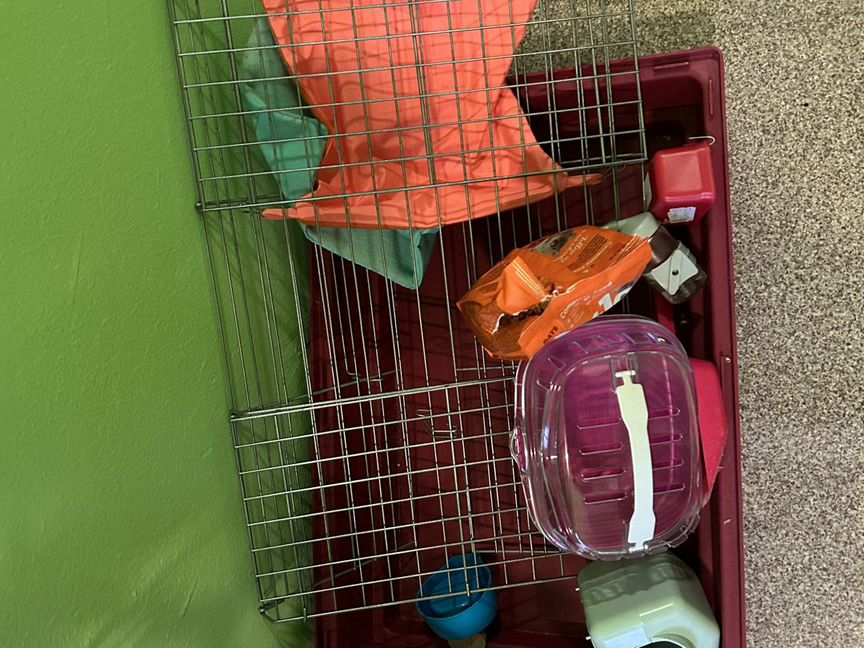 Клетка для кролика/взрослой крысы/другого грызуна