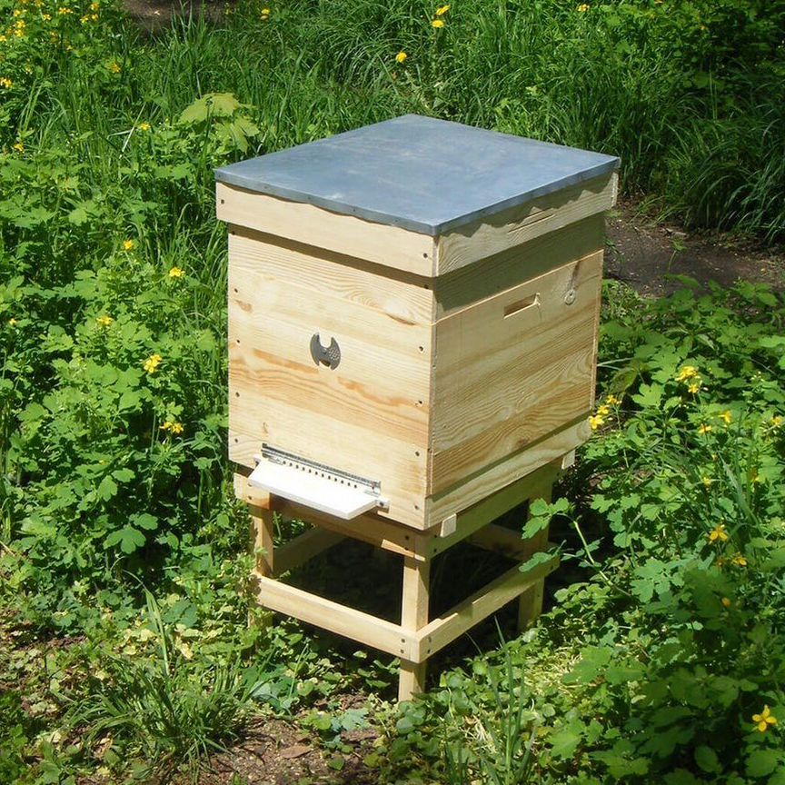 Ульи дадан 10 рамочный