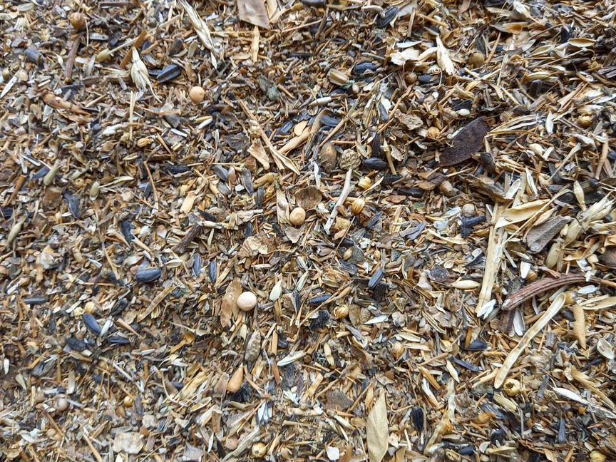 Зерноотходы.горох,лен,семечки,рапс