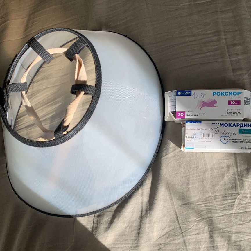 Воротник ветеринарный для собак