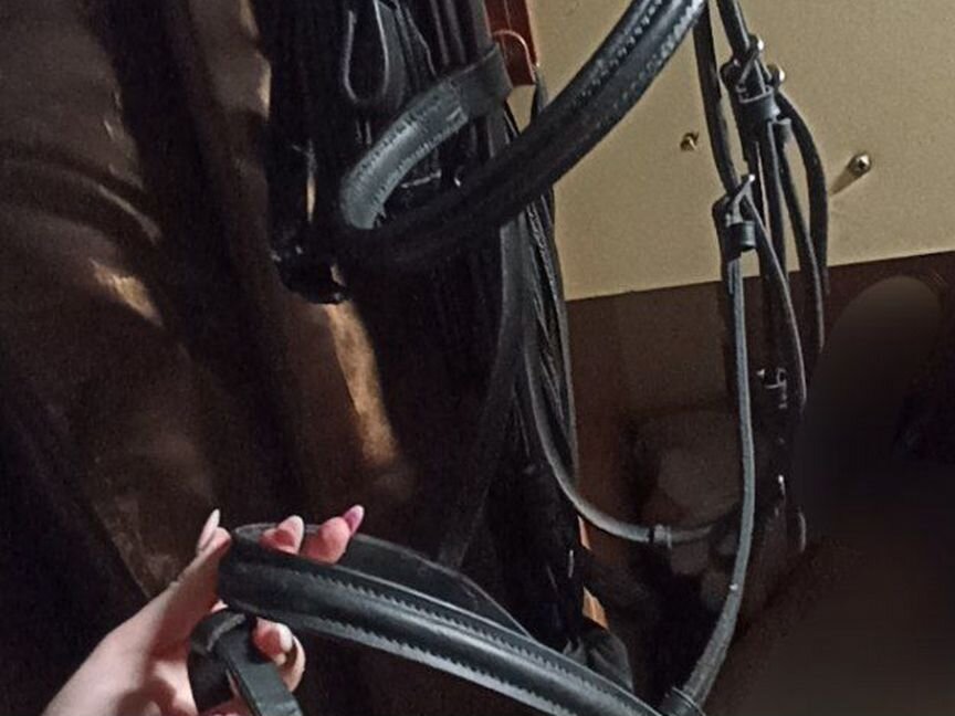 Уздечка для лошади