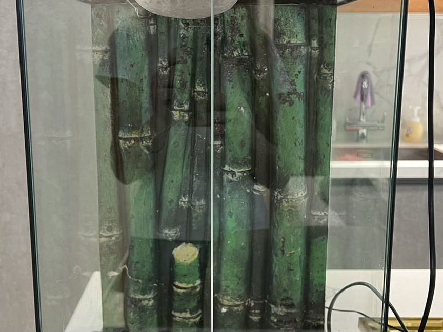 Террариум exo terra