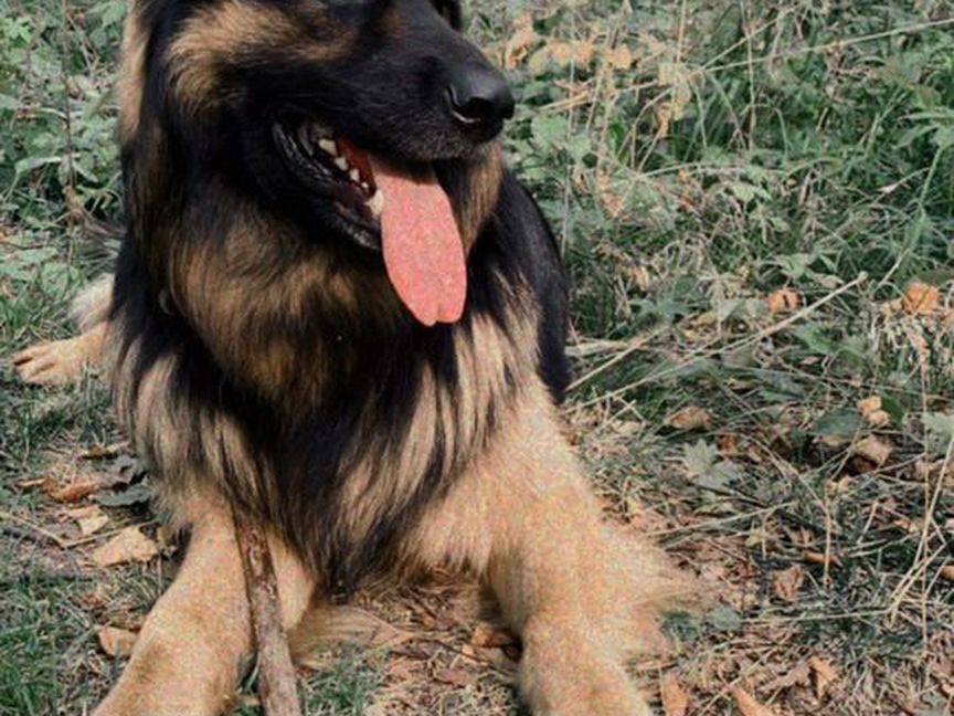 Пряжа шерсть