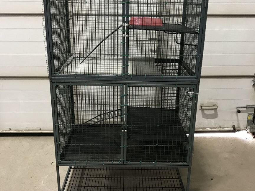 Клетка для грызунов Midwest Ferret nation