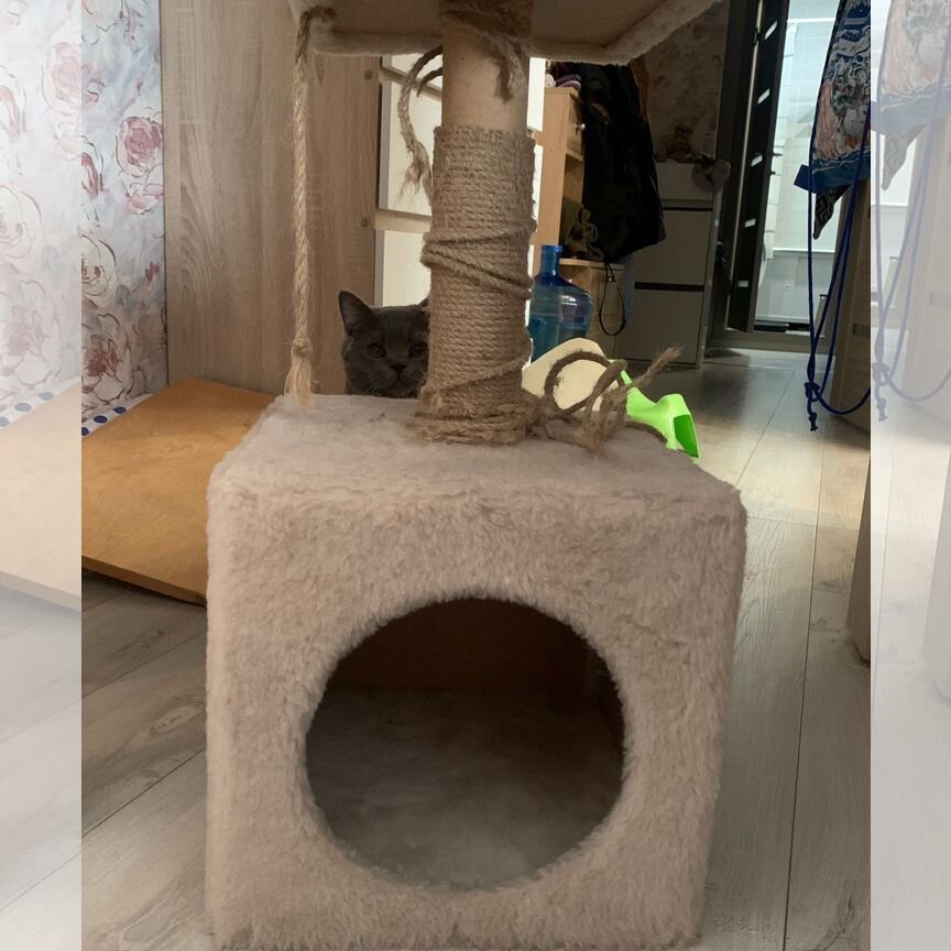 Домик для кота