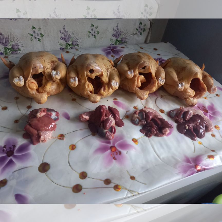Продам мясо домашнего броллера и несушку
