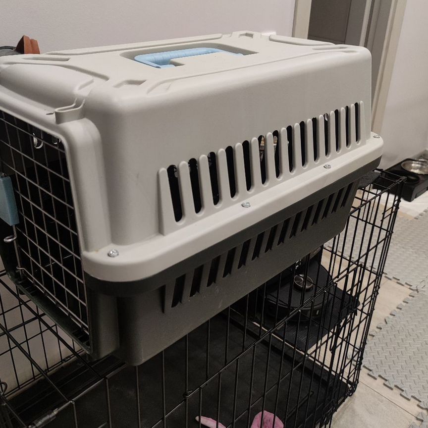 Переноска для собак пластиковая большая с дверцей