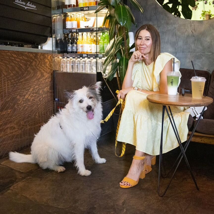 Собака в добрые руки