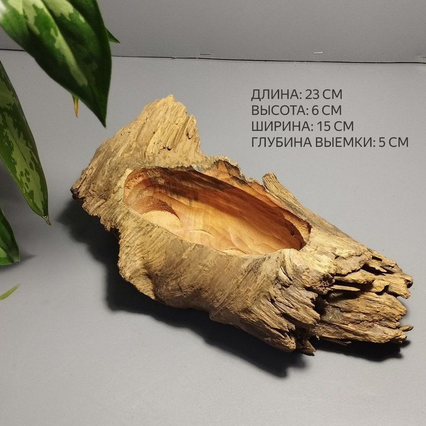 Коряга натурал. с отверстием для посадки растений