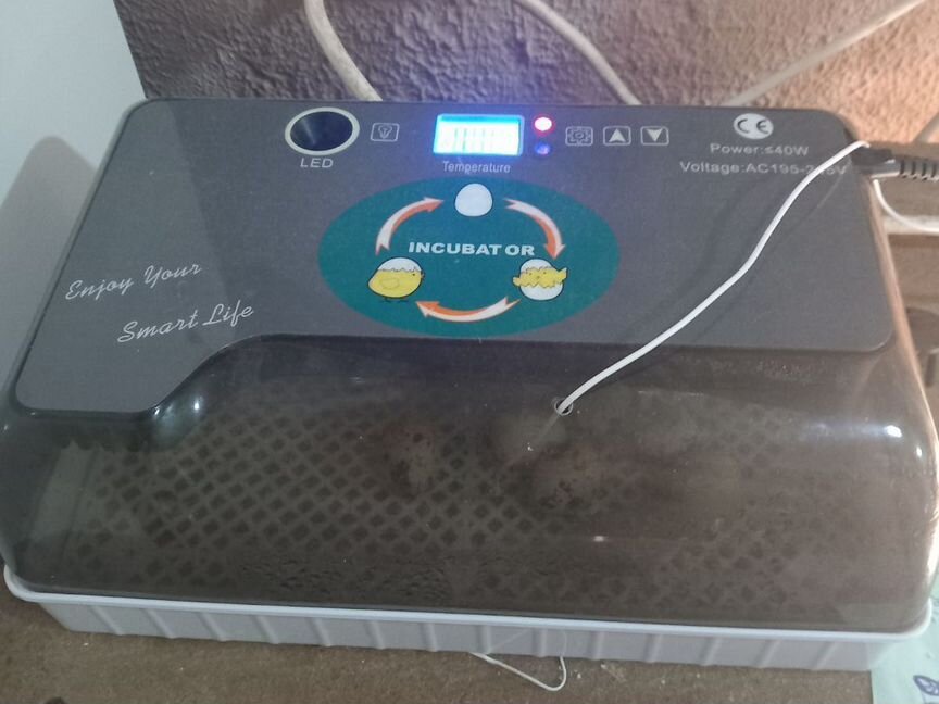 Инкубатор для яиц автоматический