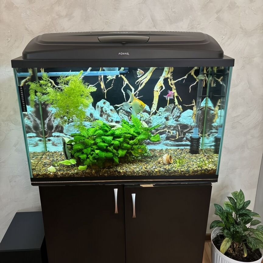 Аквариум с тумбой бу 120л