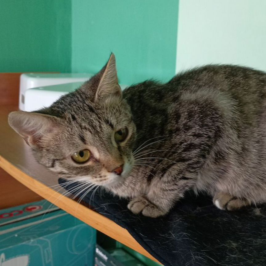 Молекула Сережа