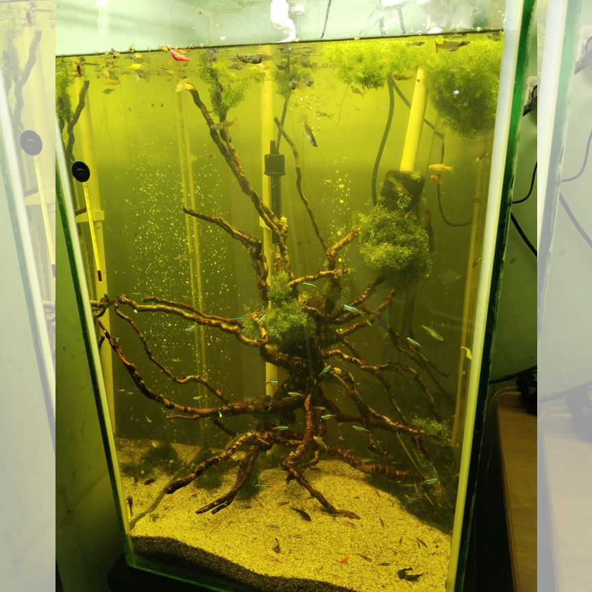 Аквариум 200 л со всем содержимым