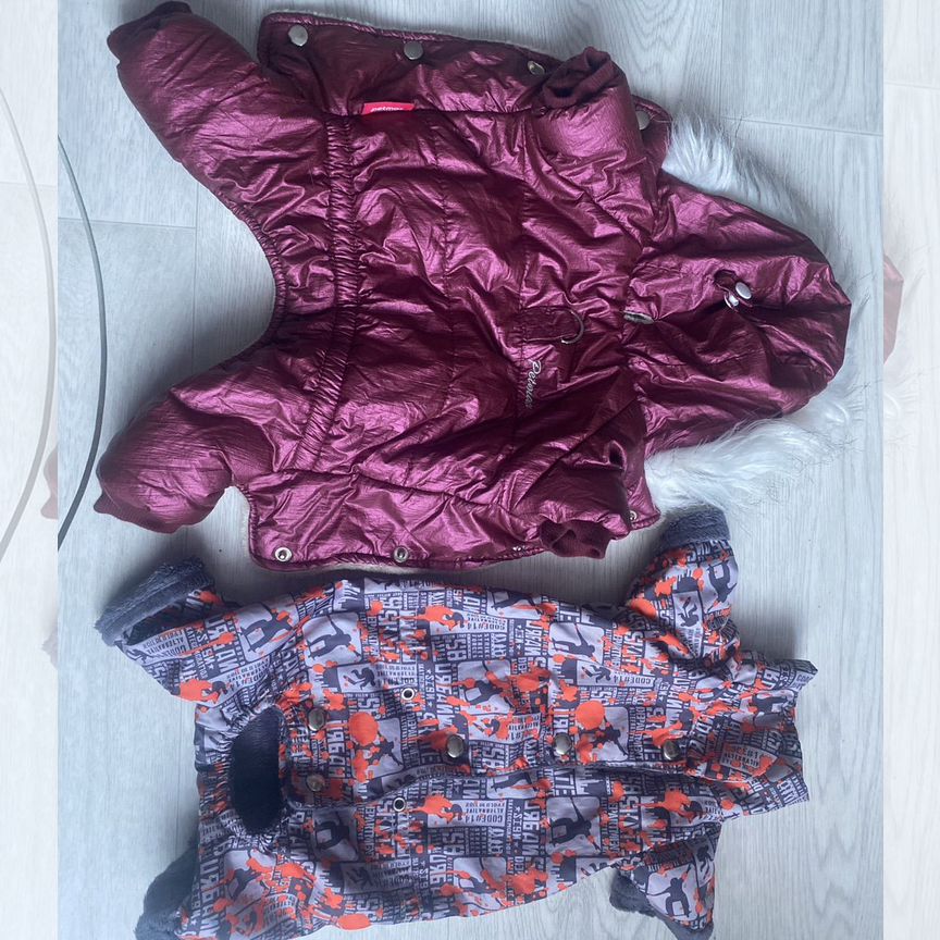 Одежда для маленьких собак