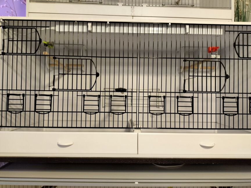 Бокс для птиц