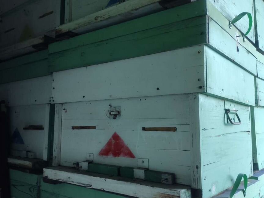 Улей для пчел бу 16 рам+2 магазина(сушь на 150)