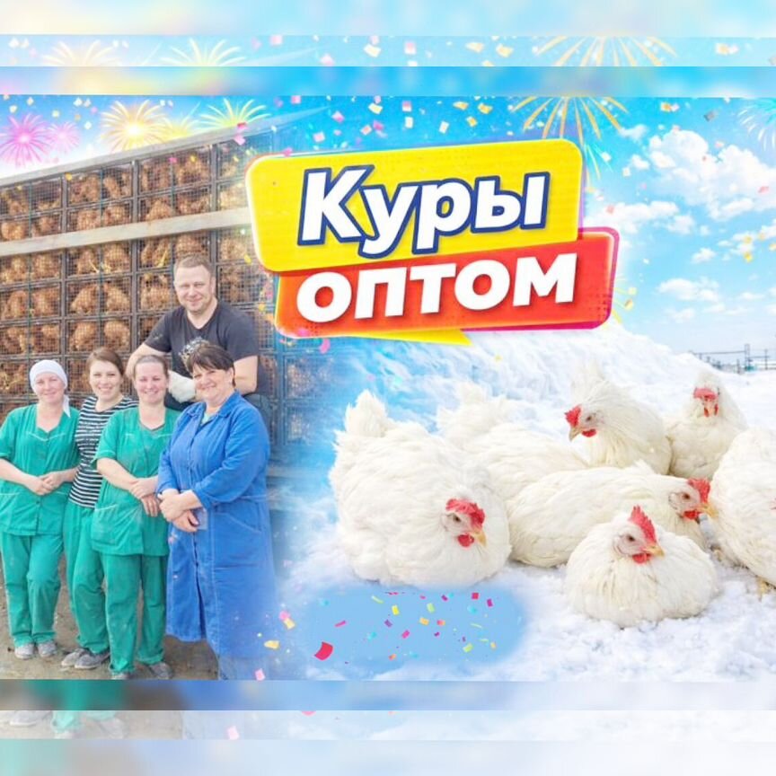 Доставка кур