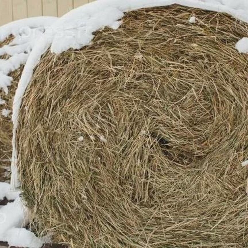 Сено в тюках