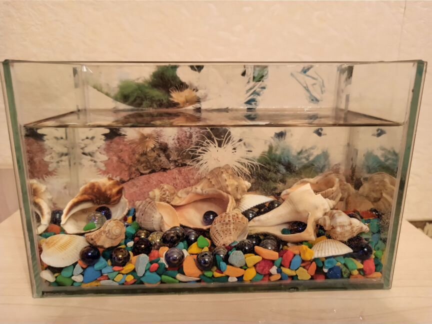 Аквариум 4,3л+галька,шары, ракушки