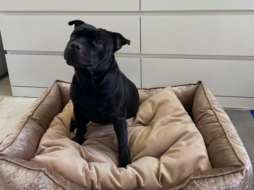 Лежак для животных со съемной подушкой