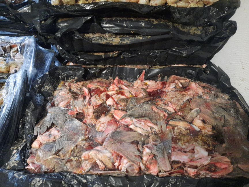 Продаем отходы рыбные