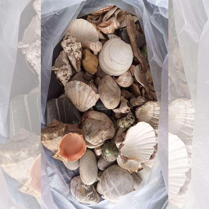 Для аквариума камешки с ракушками